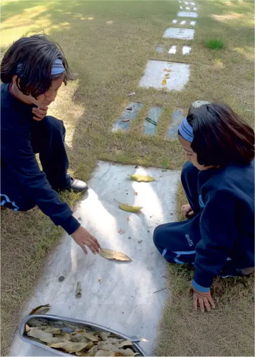 The Cambridge Climate Quest - Cambridge International Education