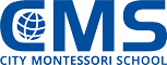 Board Exams 2025: CMS Achievers Set New Benchmarks - City Montessori School